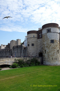 A Test to Tour the Tower of London? - Sunny in London