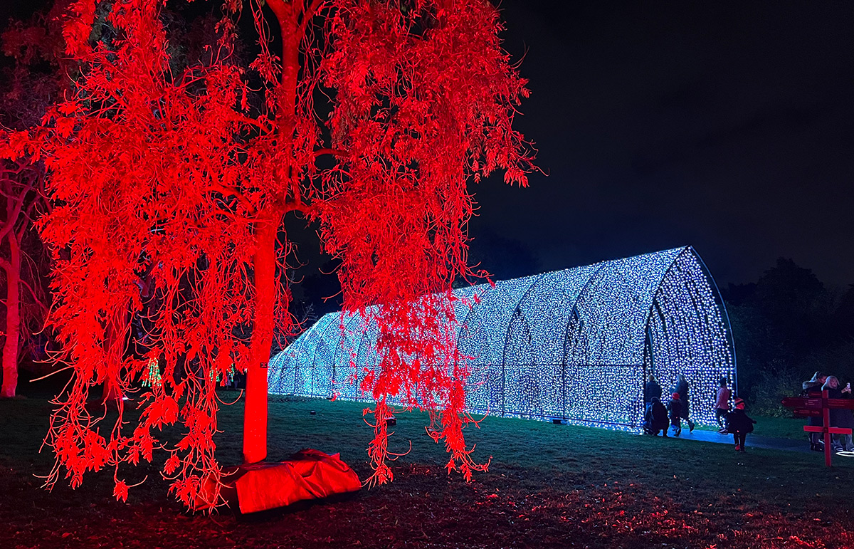 Things to Do in London in December - Sunny in London